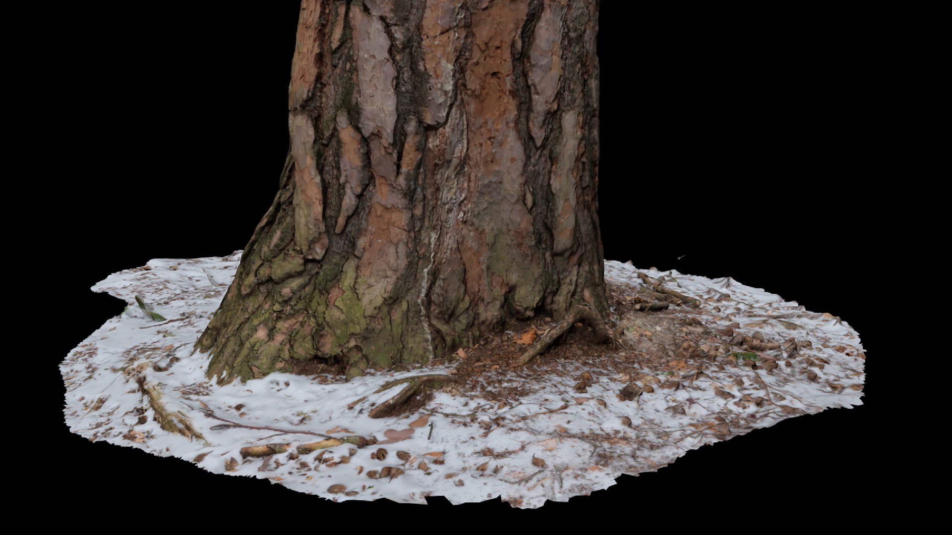 3D Swiss Winter Tree 002 - TurboSquid 2177094