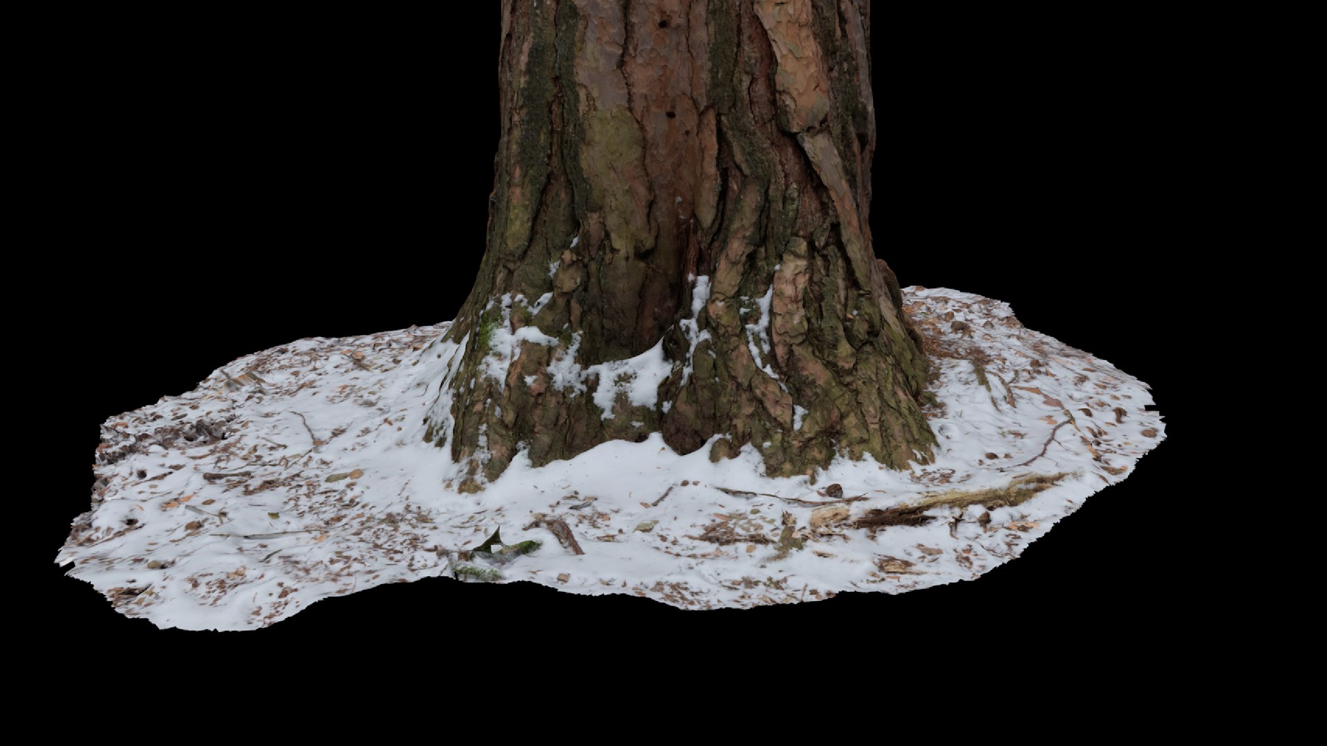 3D Swiss Winter Tree 002 - TurboSquid 2177094