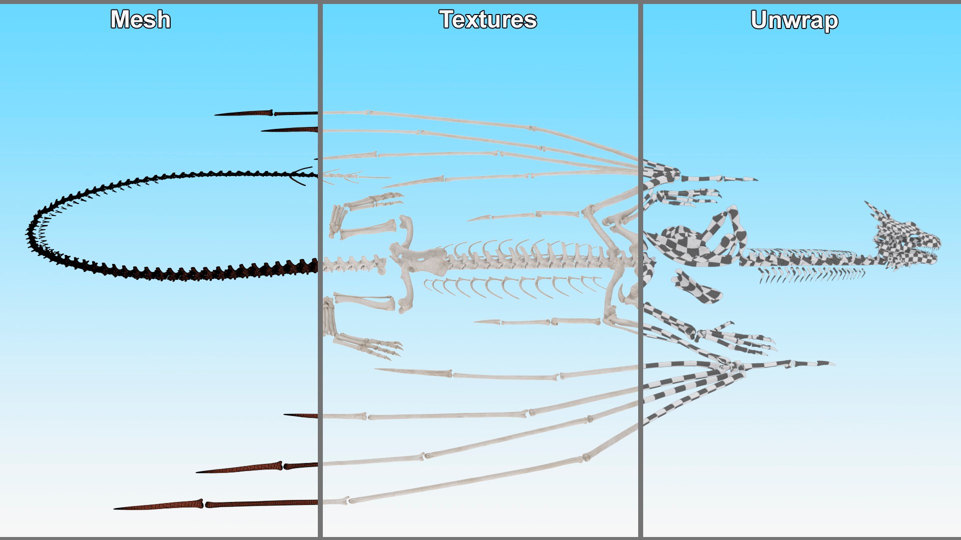 Dragon Skeleton In Unfolded State 3D - TurboSquid 2367874