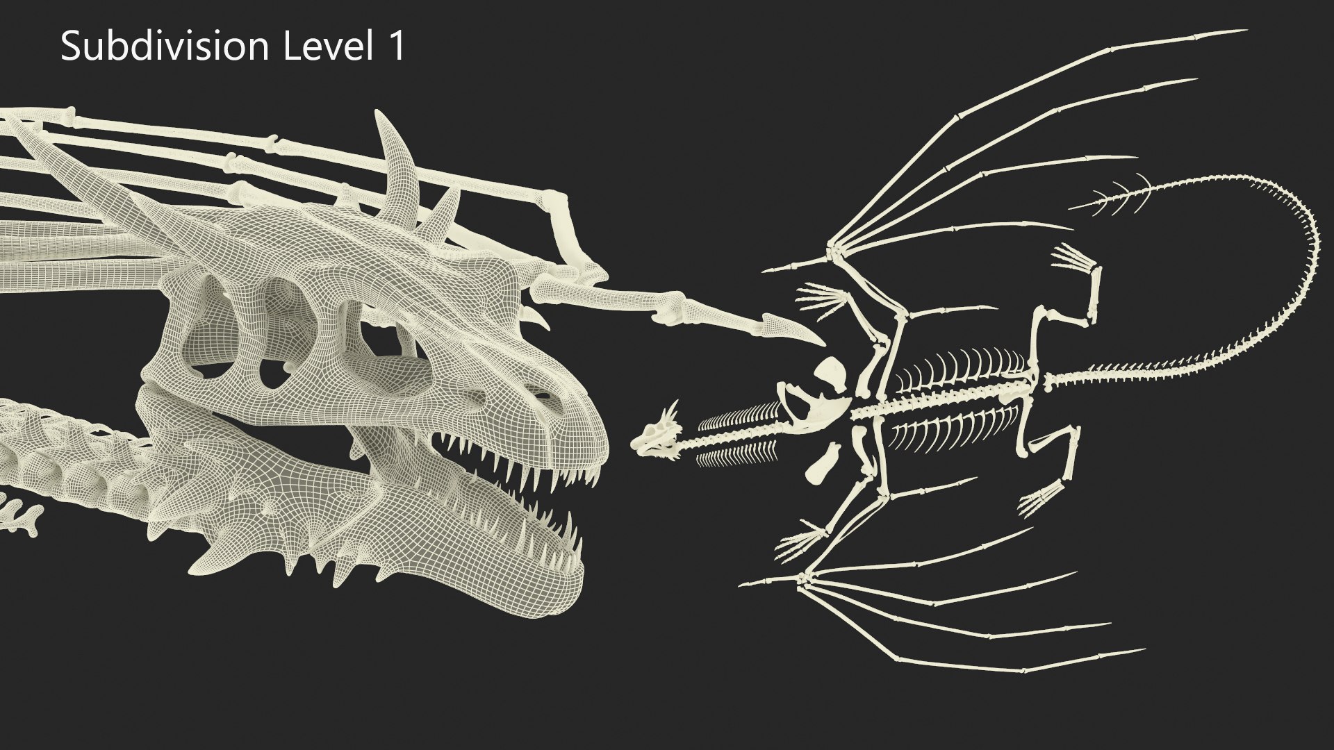 Dragon Skeleton In Unfolded State 3D - TurboSquid 2367874