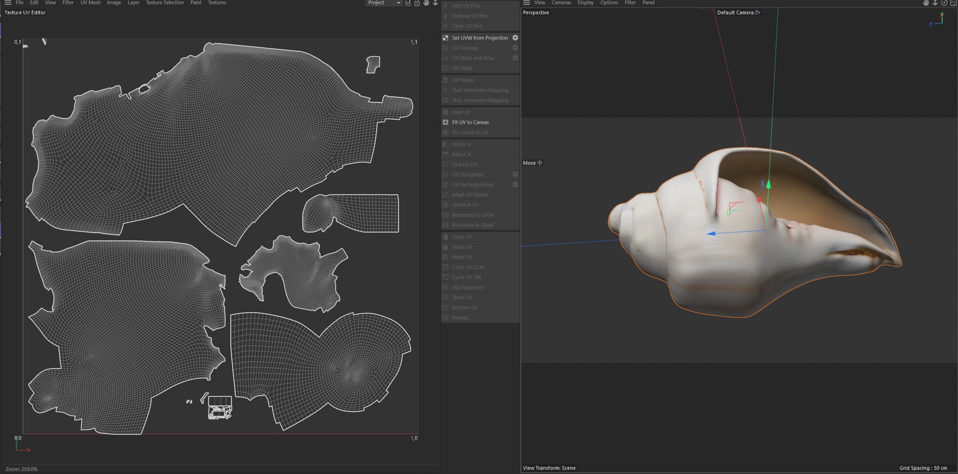 3D Conch Shell V5 Model - TurboSquid 2370733