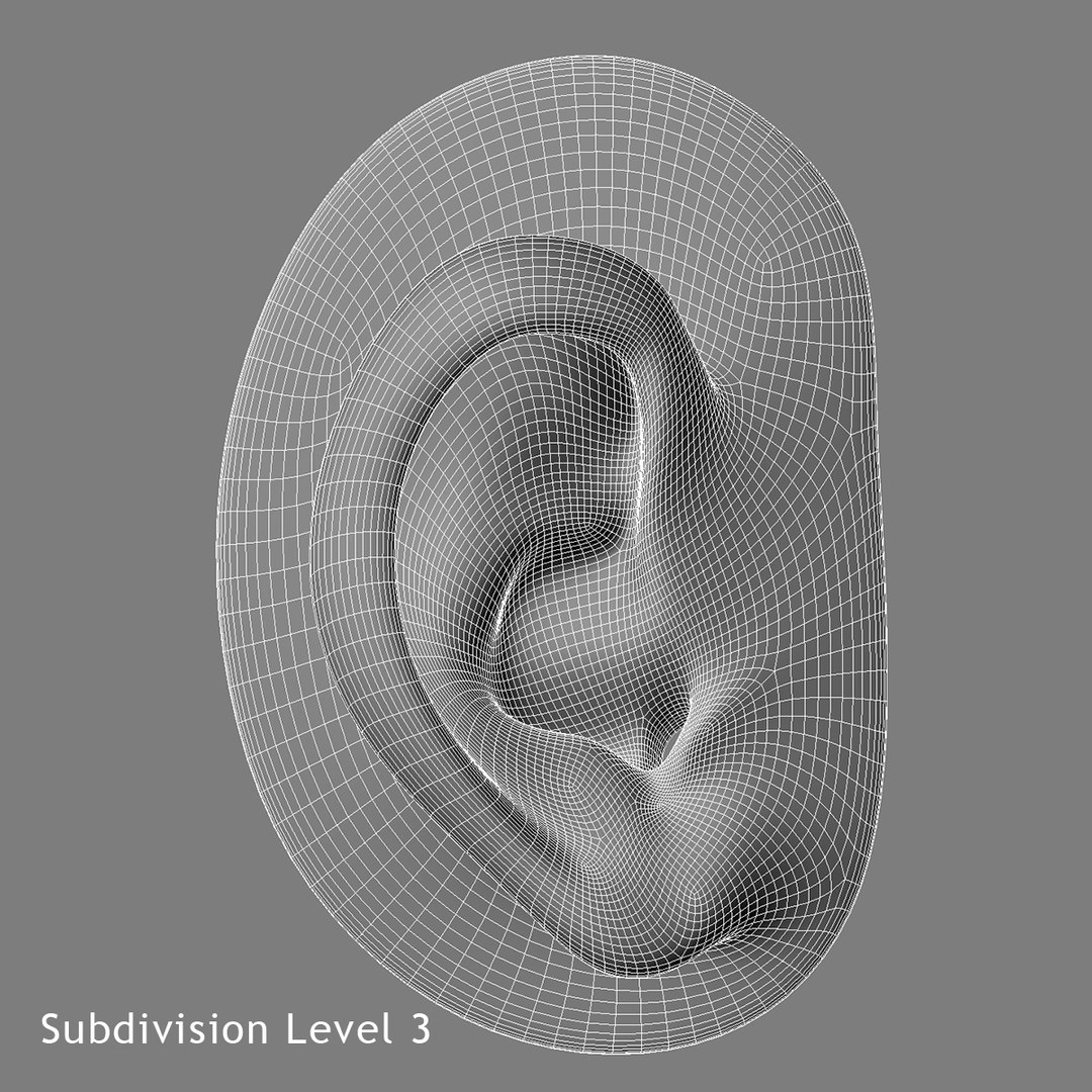 Max Realistic Human Ear Max7