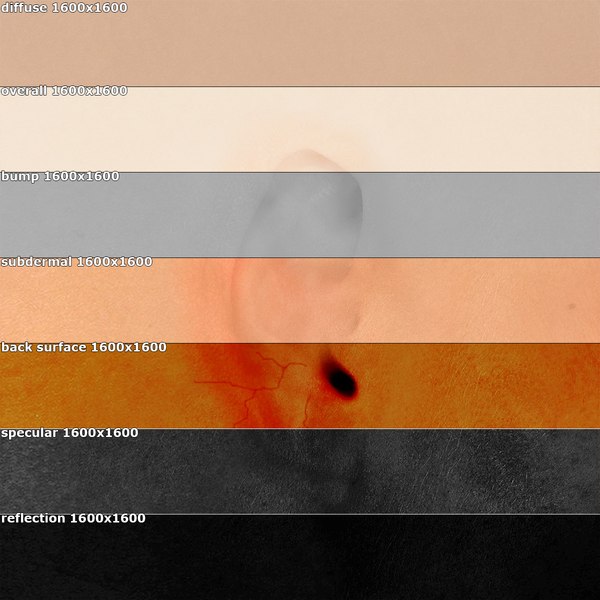 max realistic human ear max7