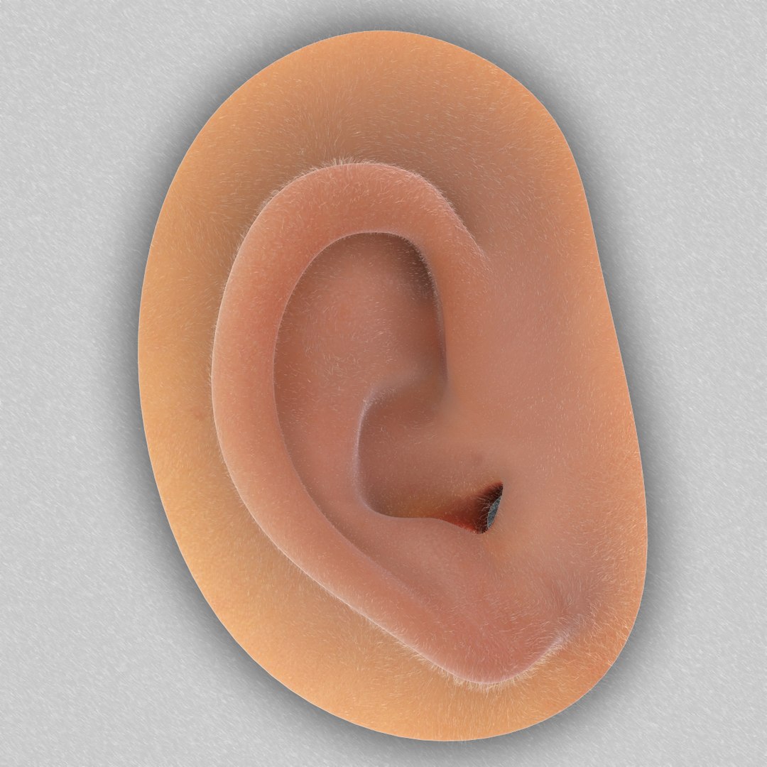 Max Realistic Human Ear Max7