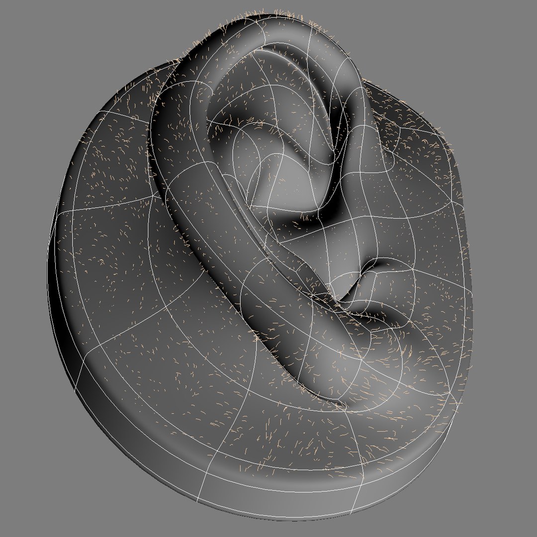 Max Realistic Human Ear Max7