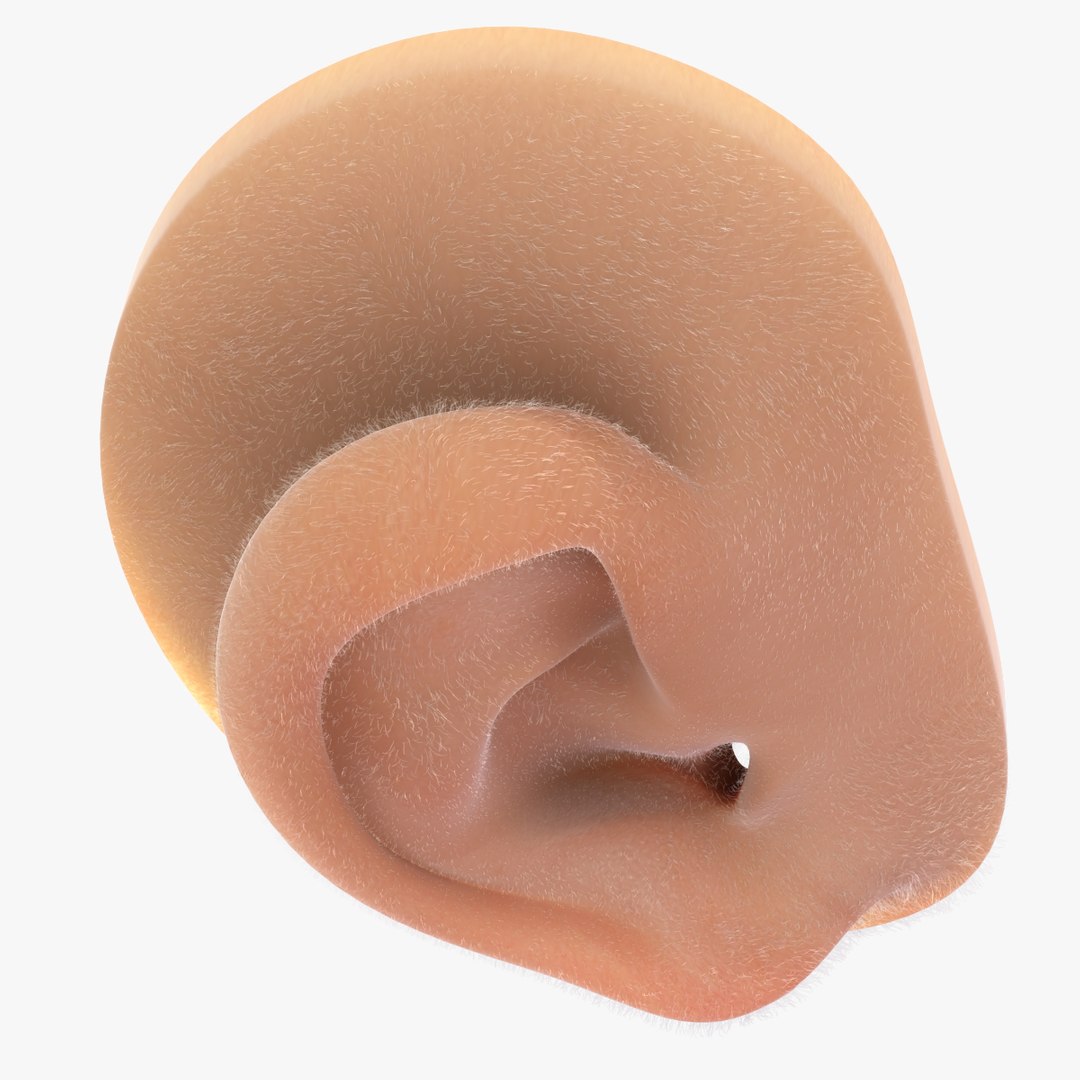 Max Realistic Human Ear Max7
