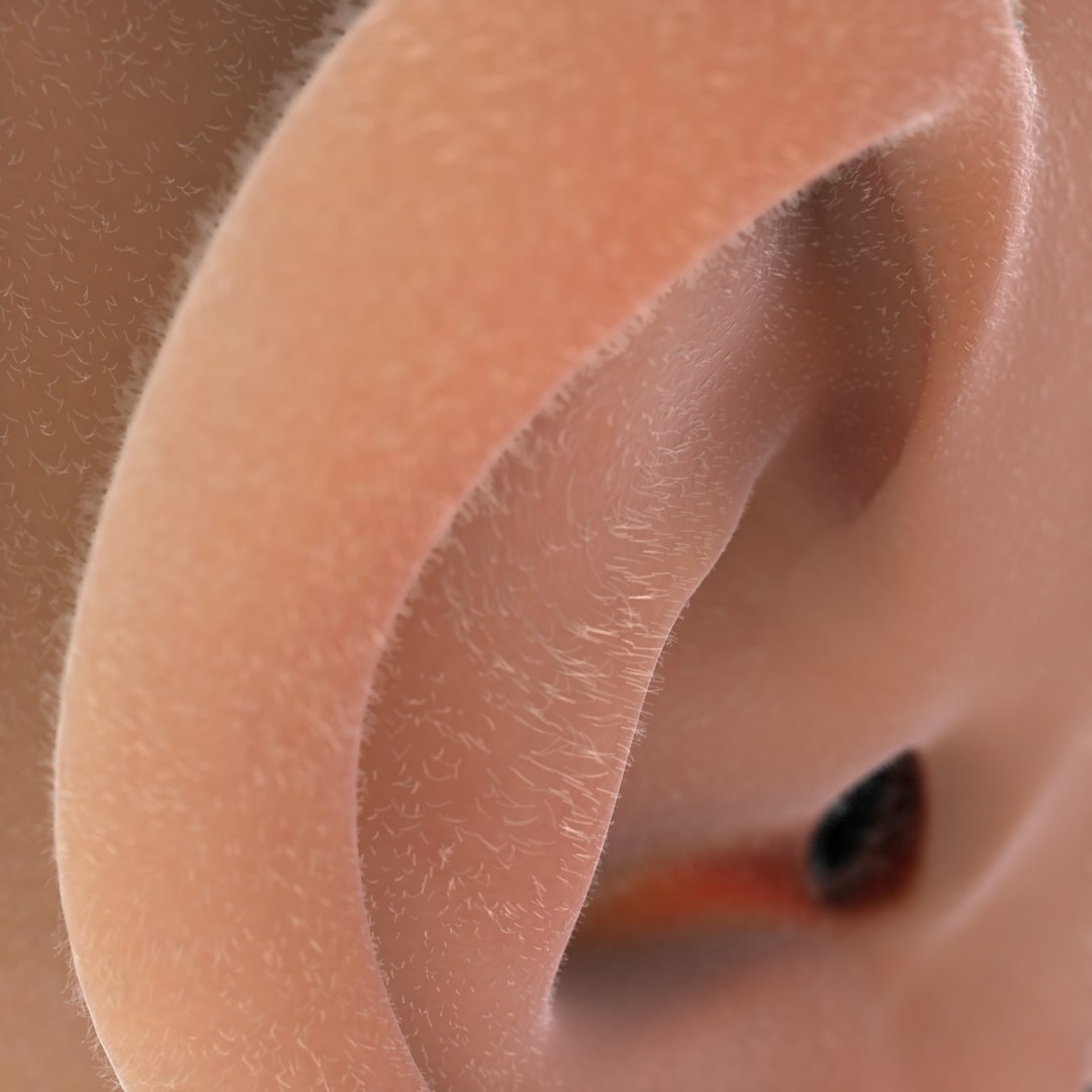 Max Realistic Human Ear Max7
