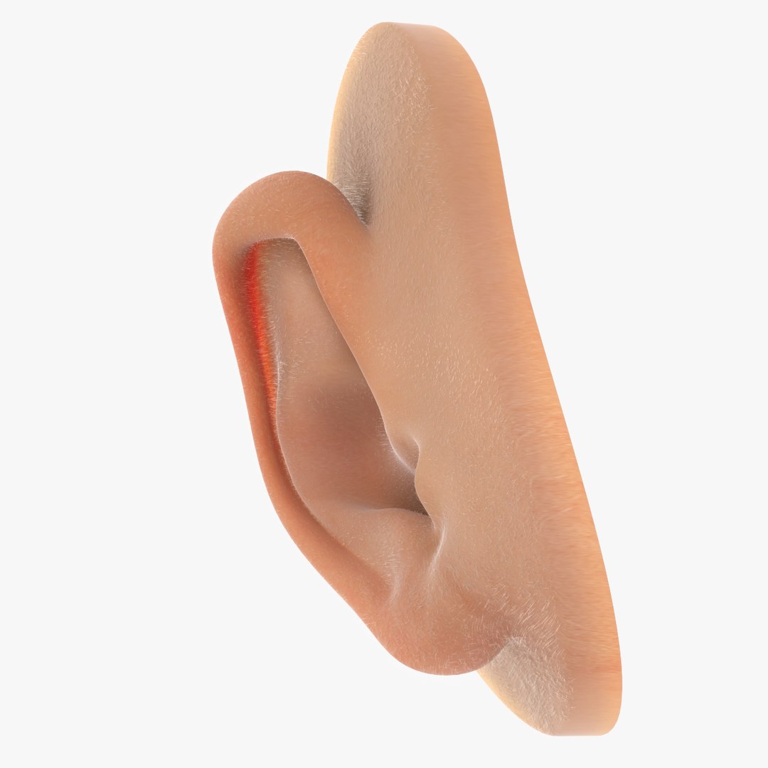 Max Realistic Human Ear Max7