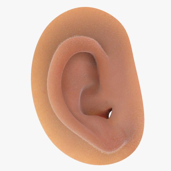 max realistic human ear max7
