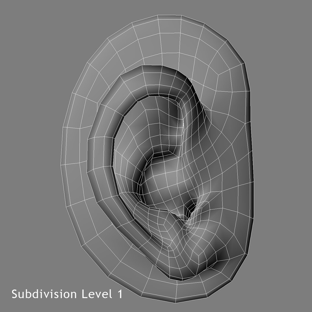 Max Realistic Human Ear Max7