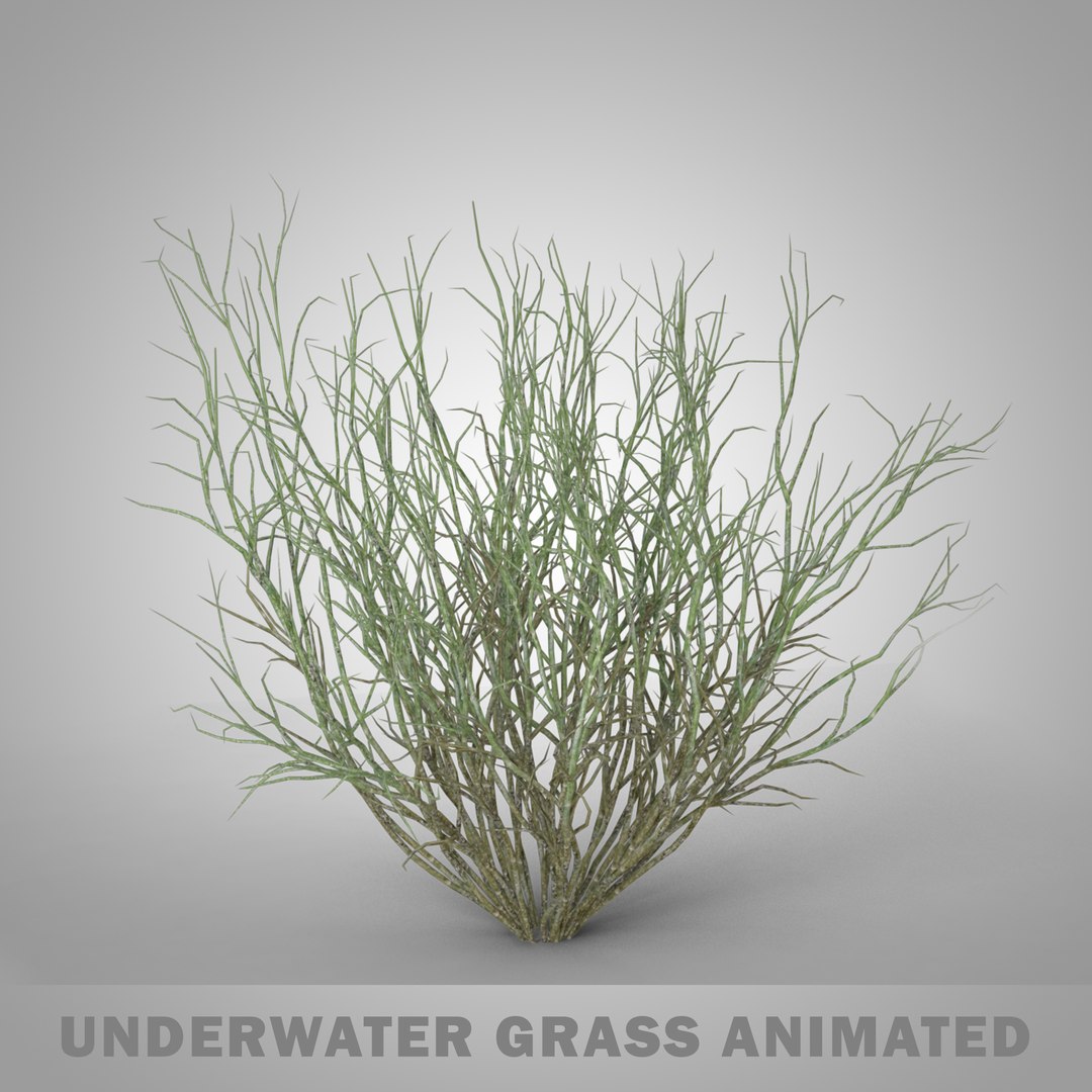 3D Underwater Grass Animated - TurboSquid 2111875