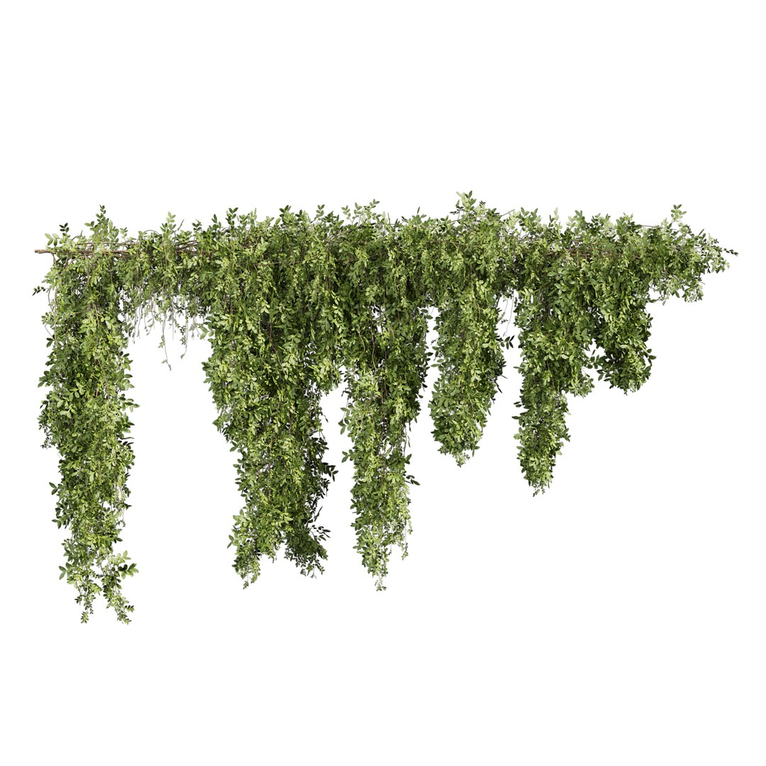 Realistic - Vol 622 - 3d Plant Model - Ivy - Creeping 3D - TurboSquid ...