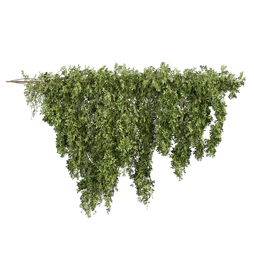 Realistic - Vol 622 - 3d Plant Model - Ivy - Creeping 3D - TurboSquid ...