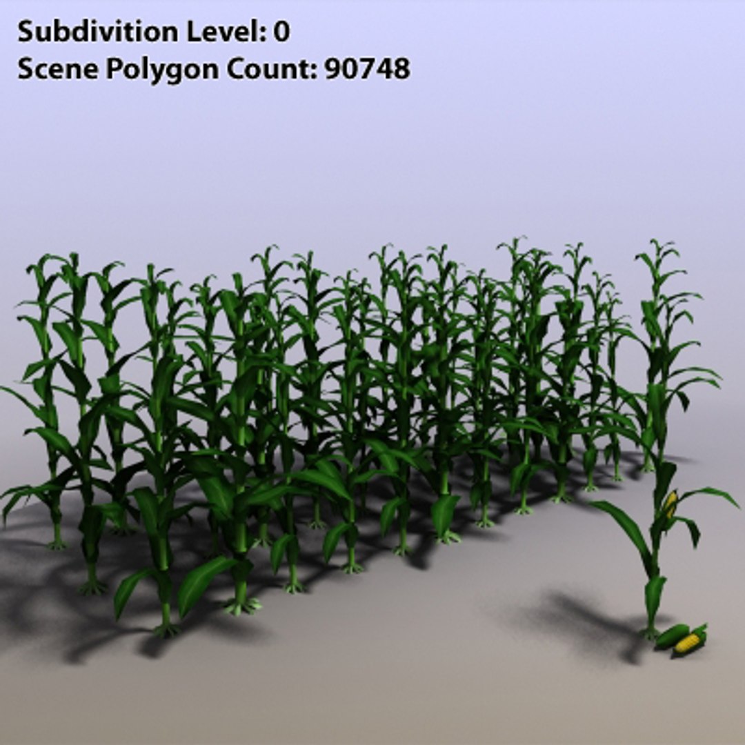 Corn Field 3d Model