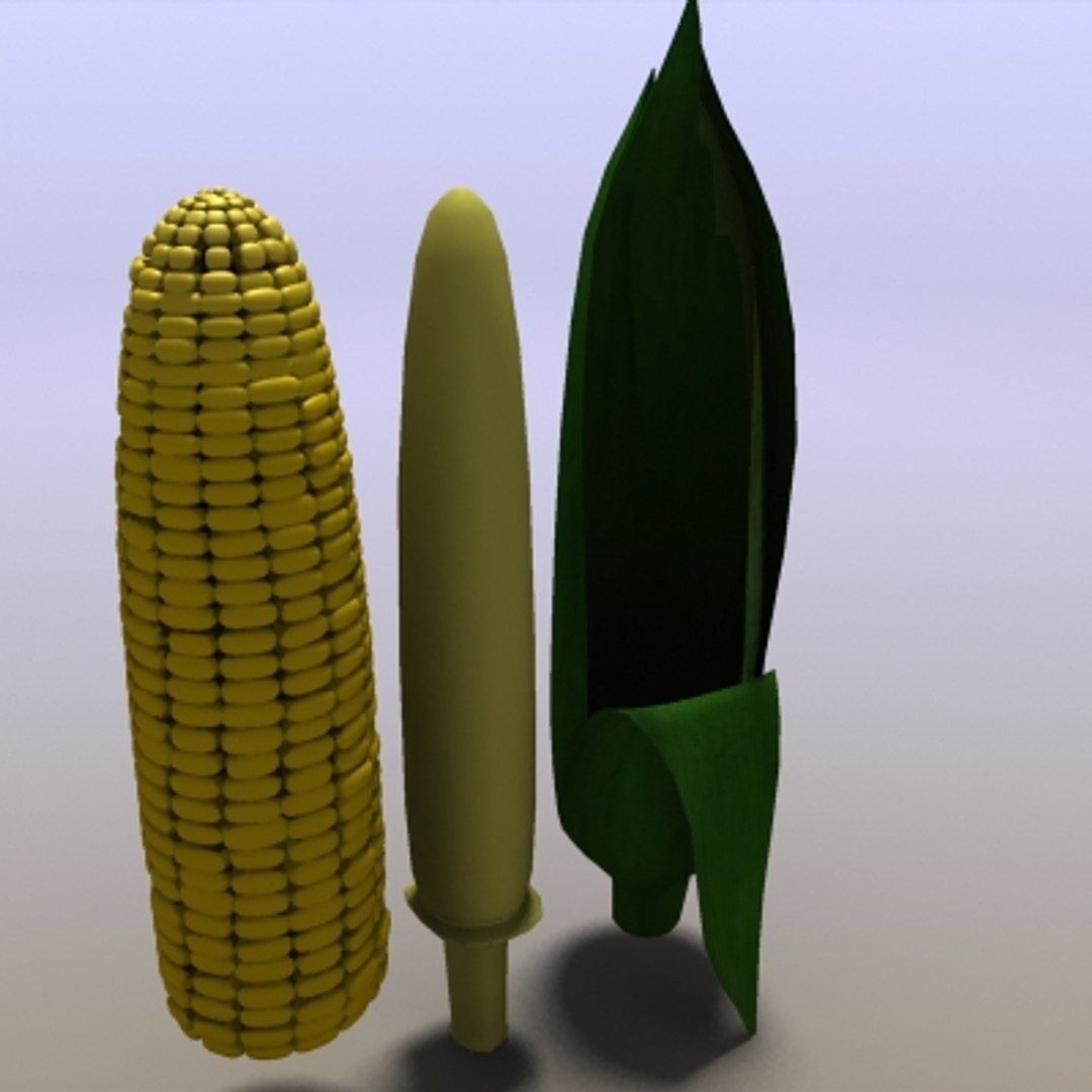 Corn Field 3d Model