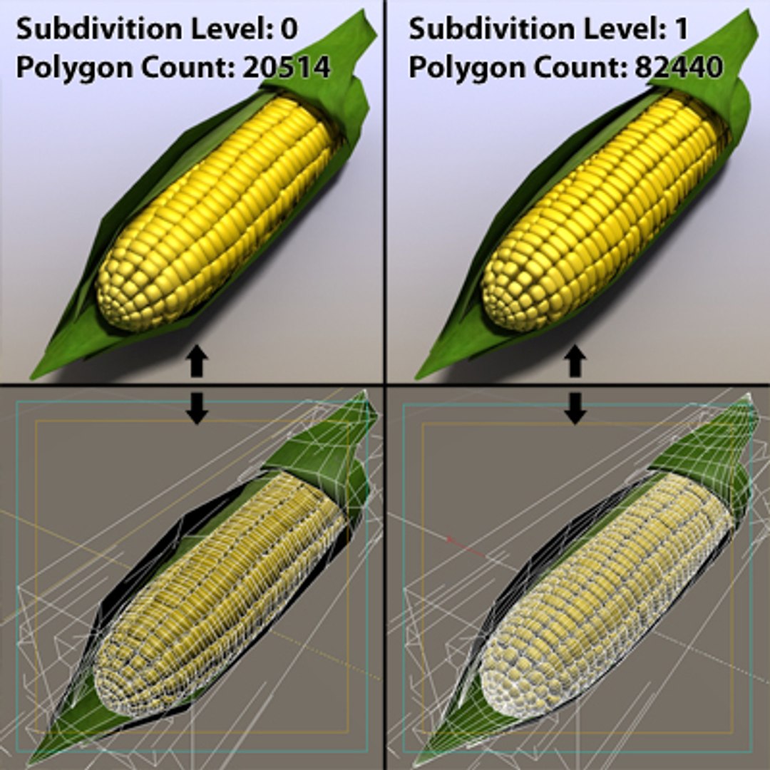 Corn Field 3d Model
