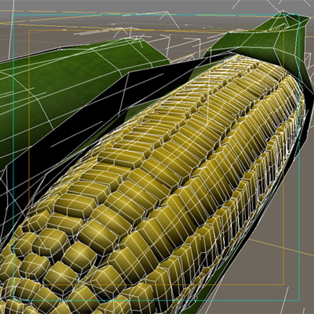 Corn Field 3d Model