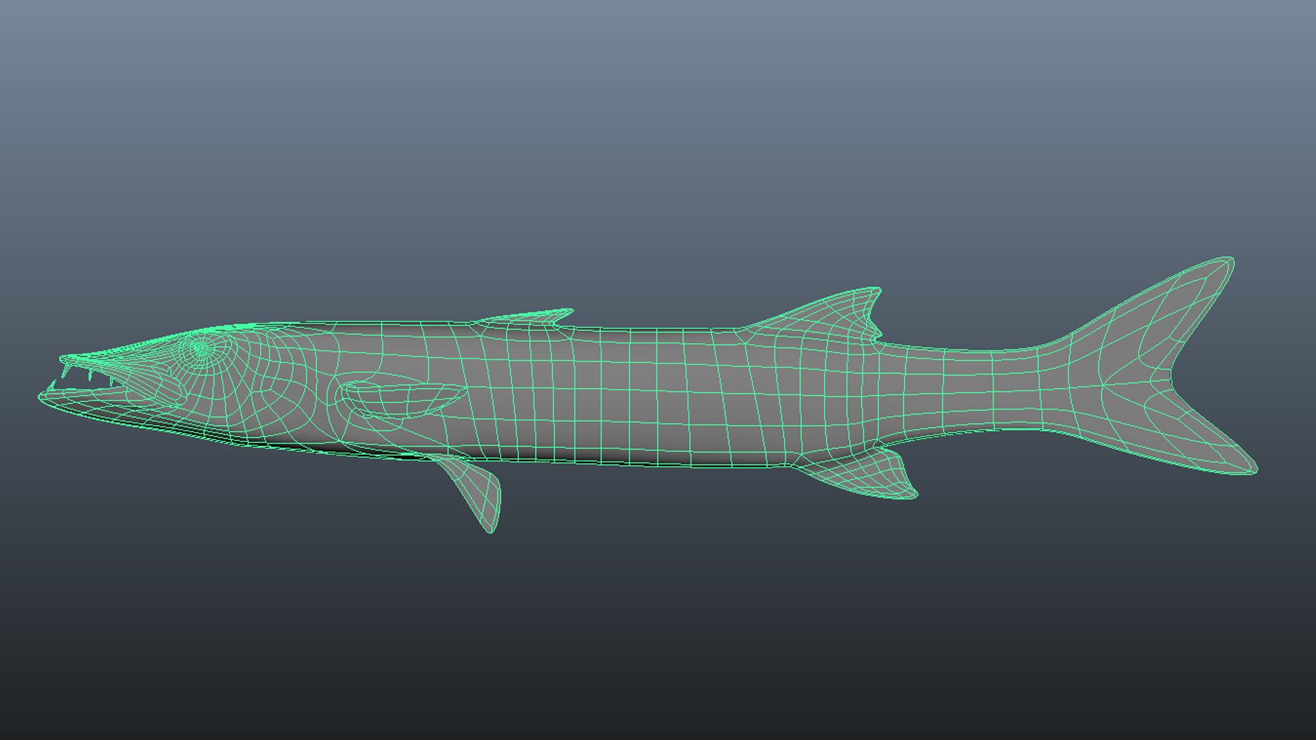 3D Barracuda Collection Model - TurboSquid 1811144