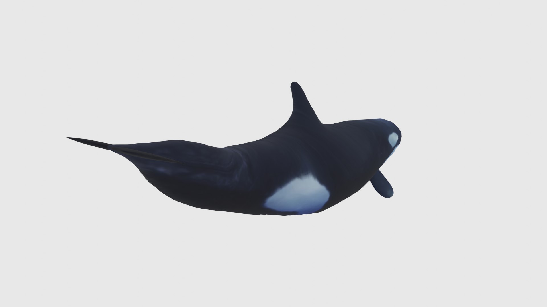 Low Poly Orca Rigged With Realistic Texture 3D Model - TurboSquid 1876147