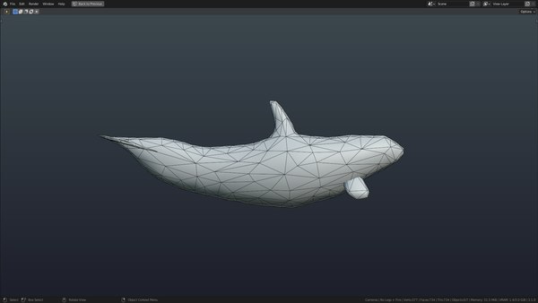 modelo 3d Low Poly Orca Rigged con textura realista - TurboSquid 1876147