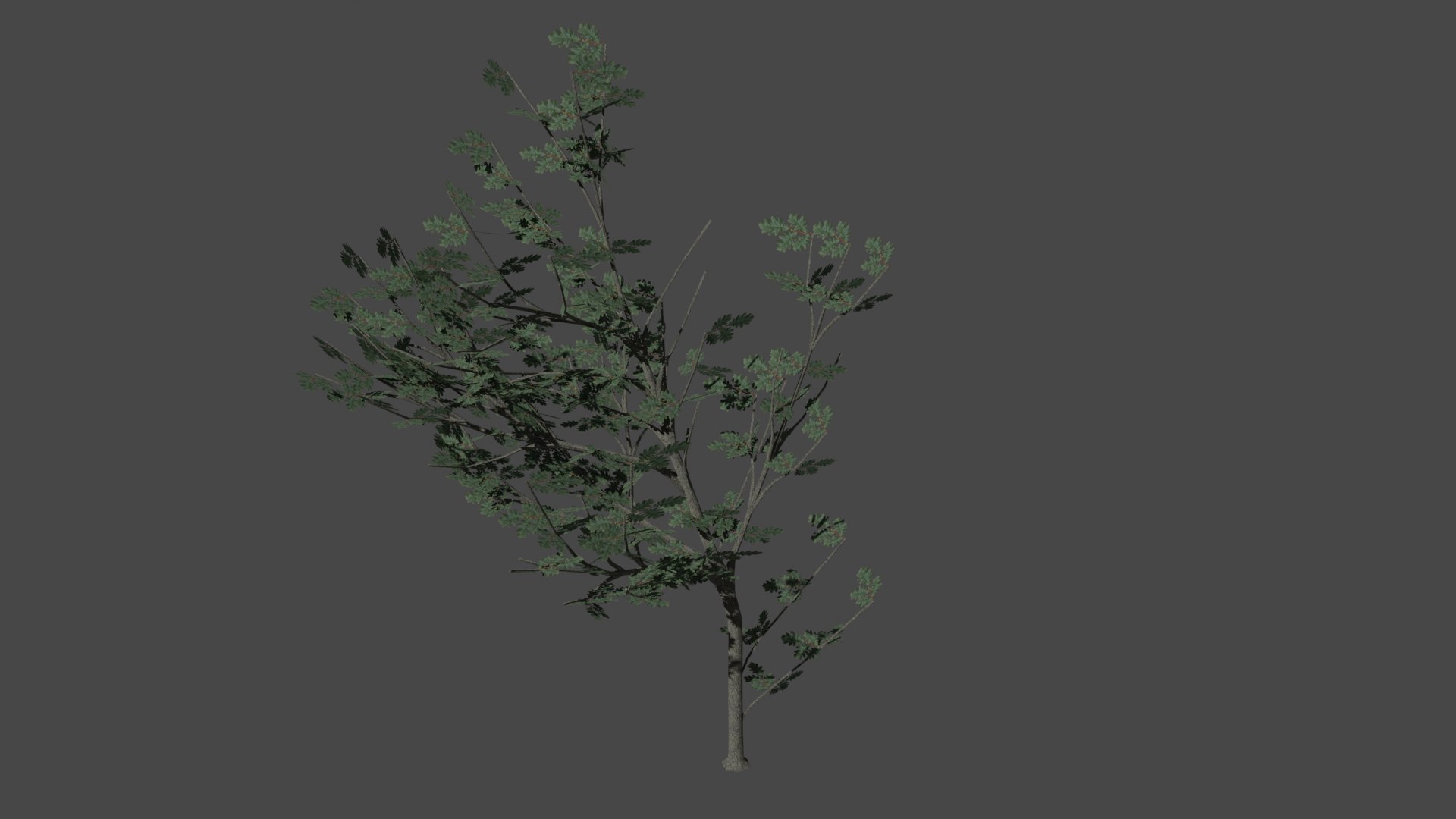 3D Tree Leaf 5 Model - TurboSquid 1614361