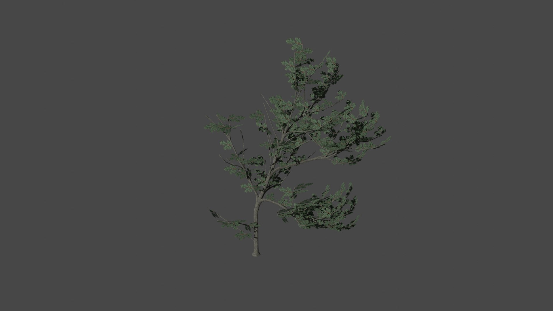 3D Tree Leaf 5 Model - TurboSquid 1614361