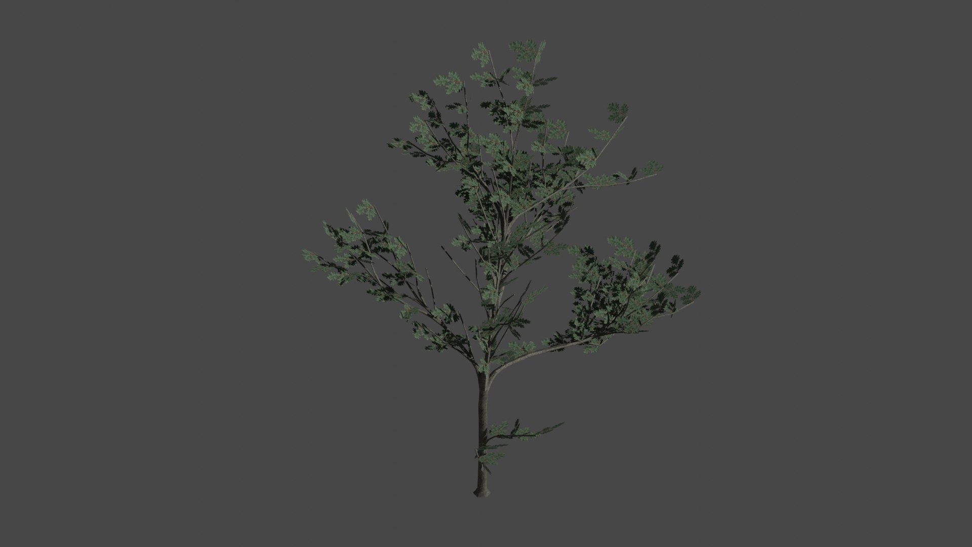 3D Tree Leaf 5 Model - TurboSquid 1614361