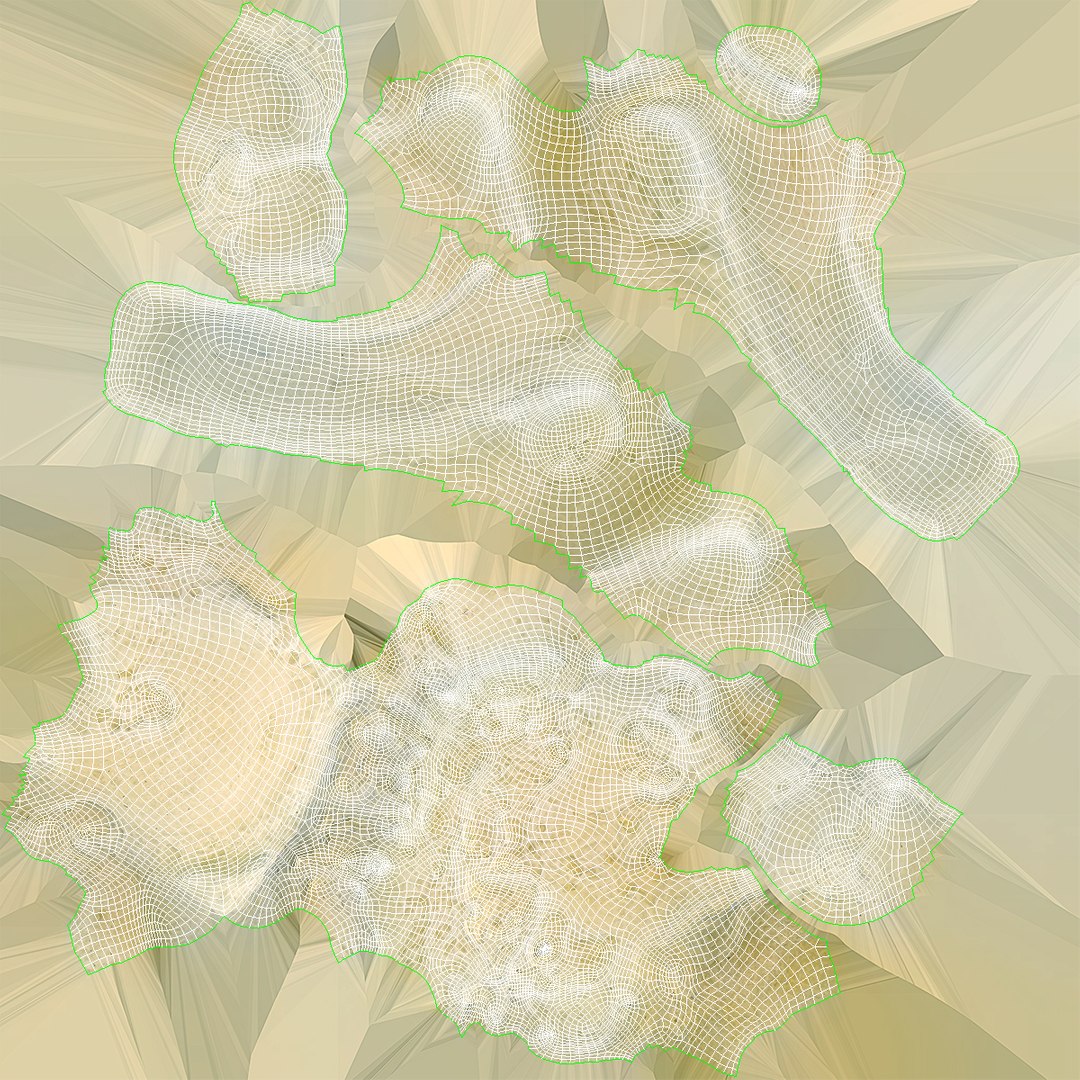 Pavian Monkey Male Thoracic Vertebrae TH8 3D model - TurboSquid 2069509