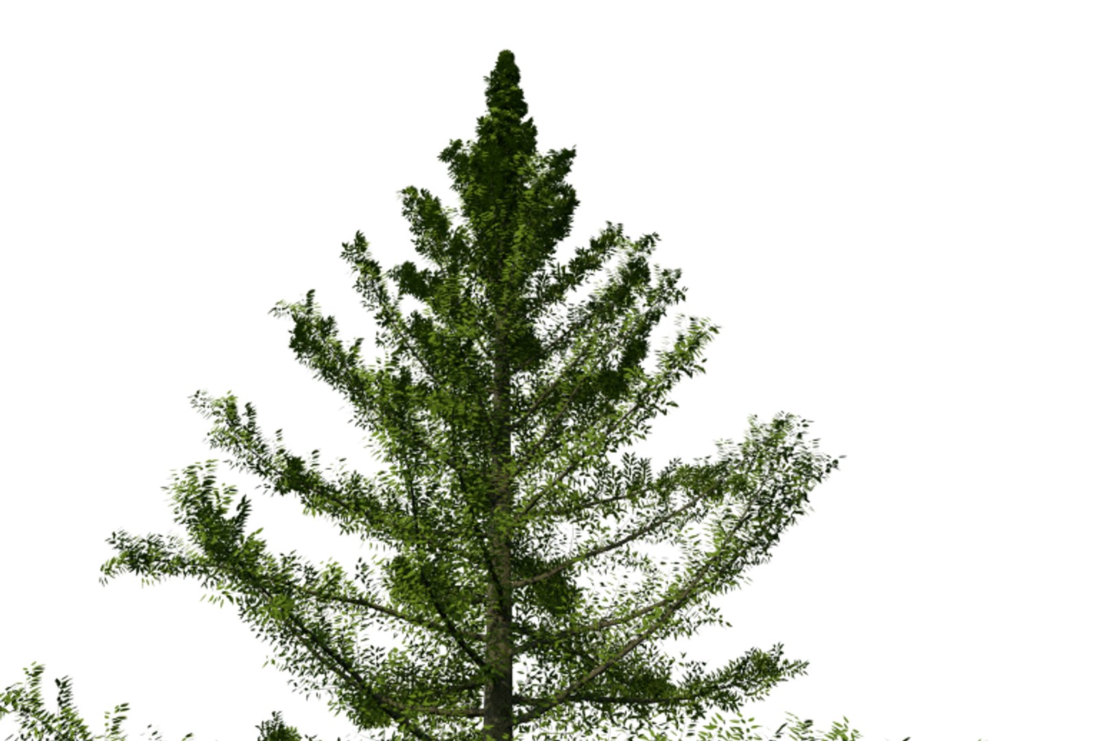 Leaves Tree 3d 3ds