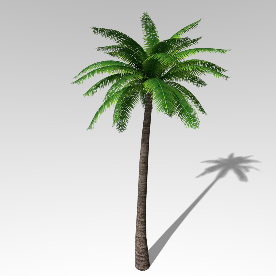 3d Model Palm Tree