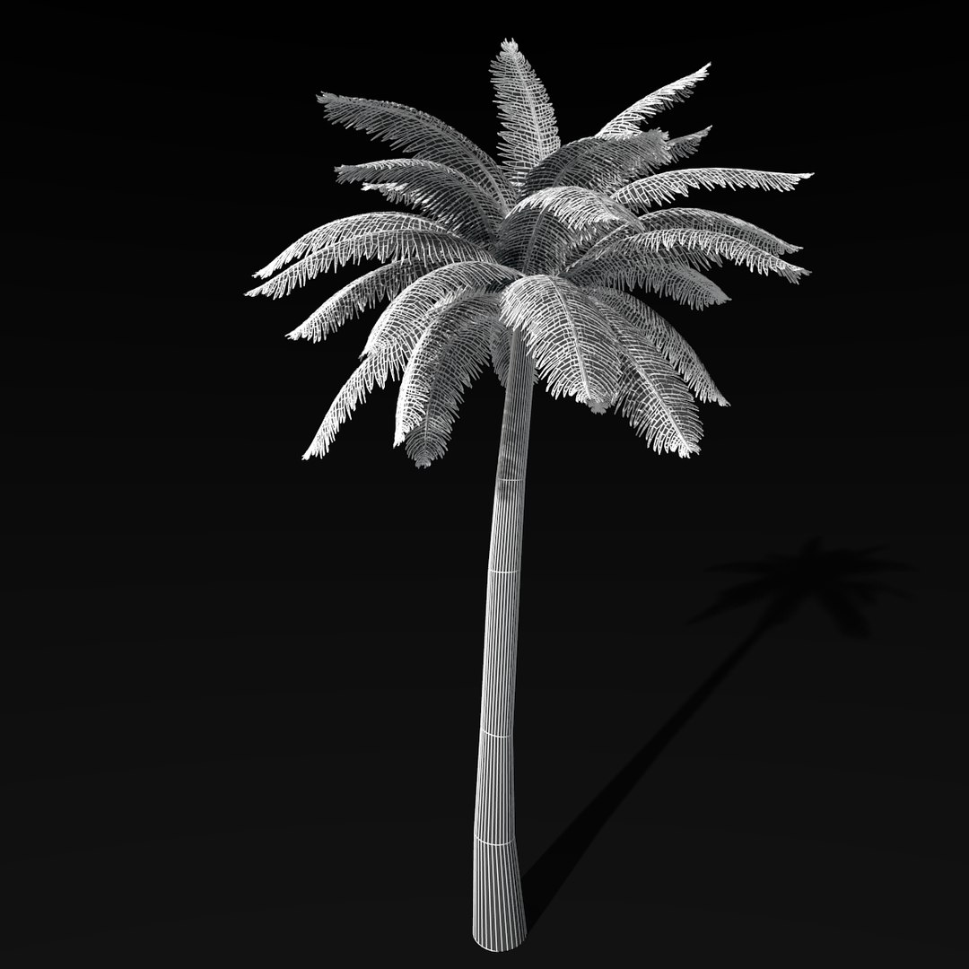 3d Model Palm Tree
