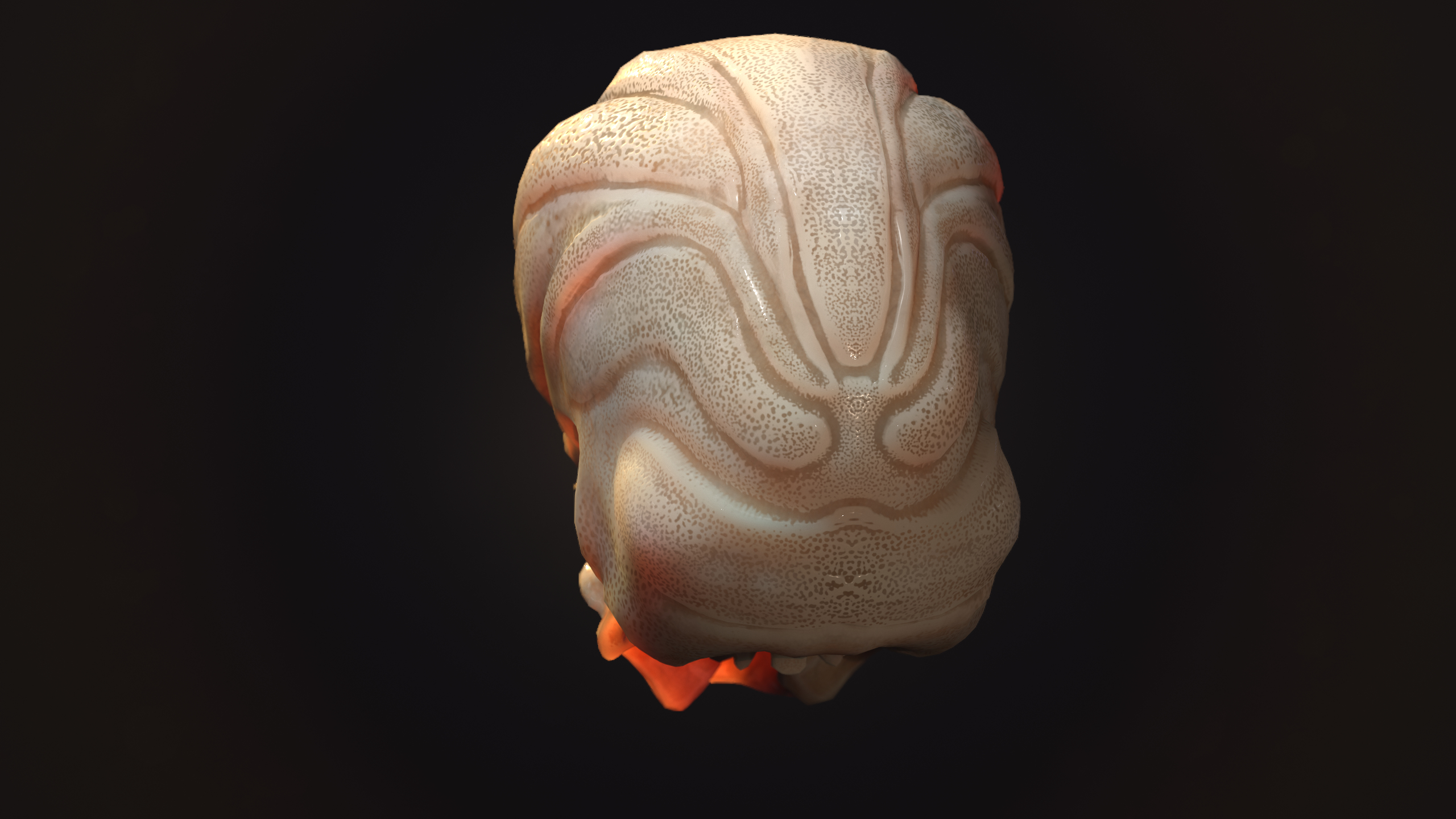 3D Alien Skull - TurboSquid 1836307
