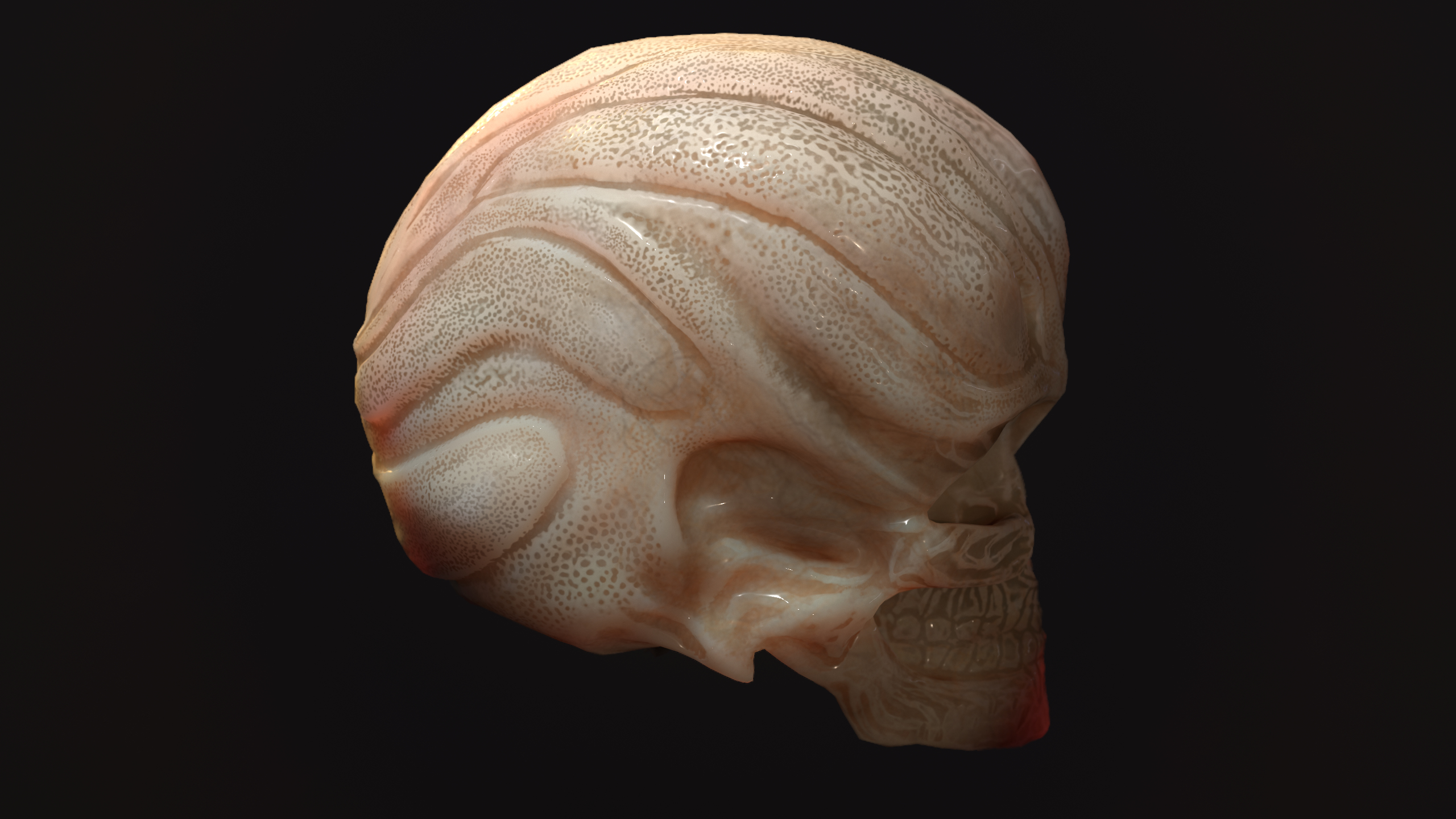 3D Alien Skull - TurboSquid 1836307