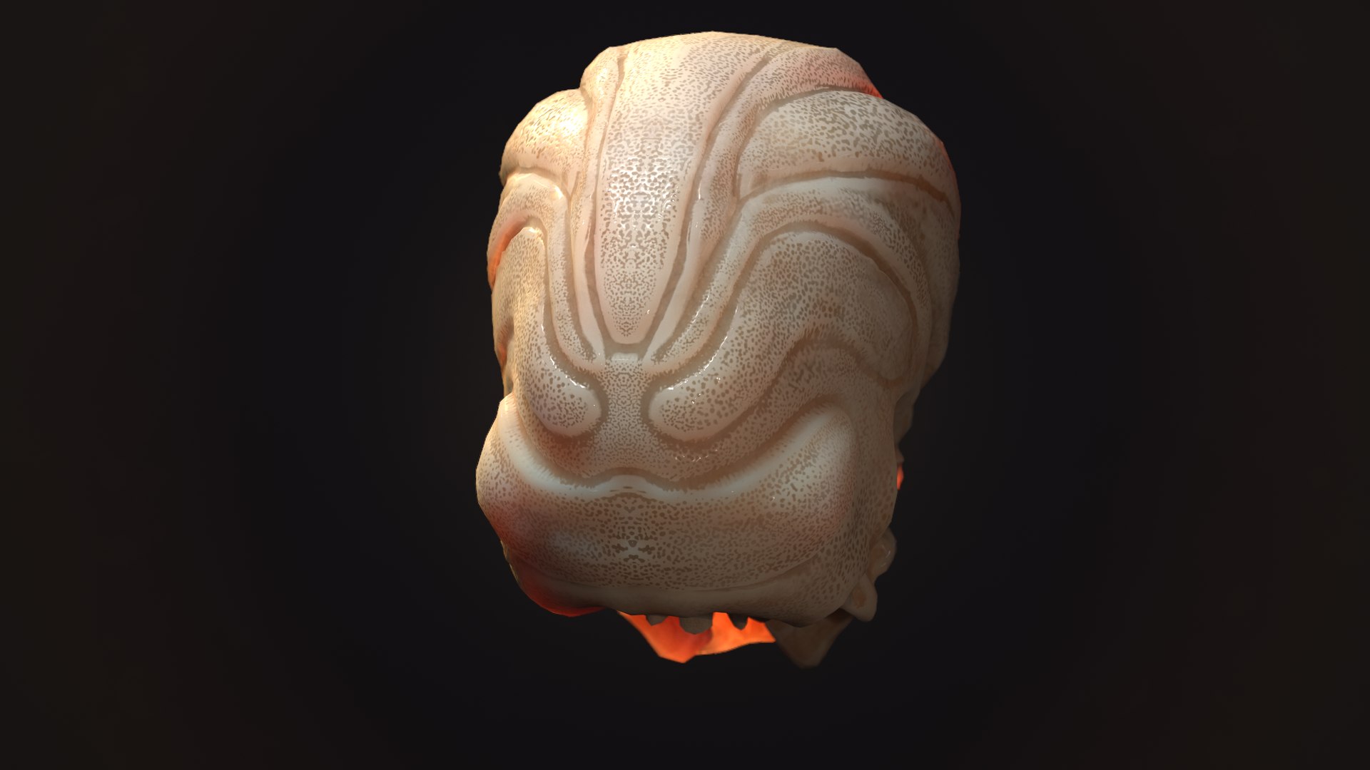 3D Alien Skull - TurboSquid 1836307