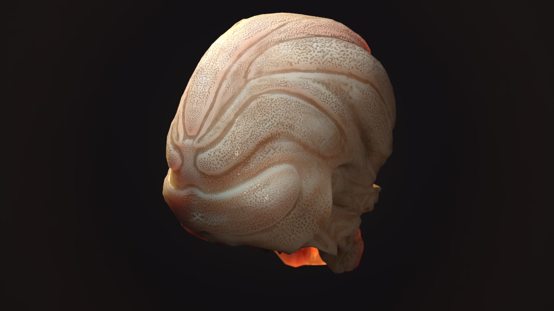 3D Alien Skull - TurboSquid 1836307
