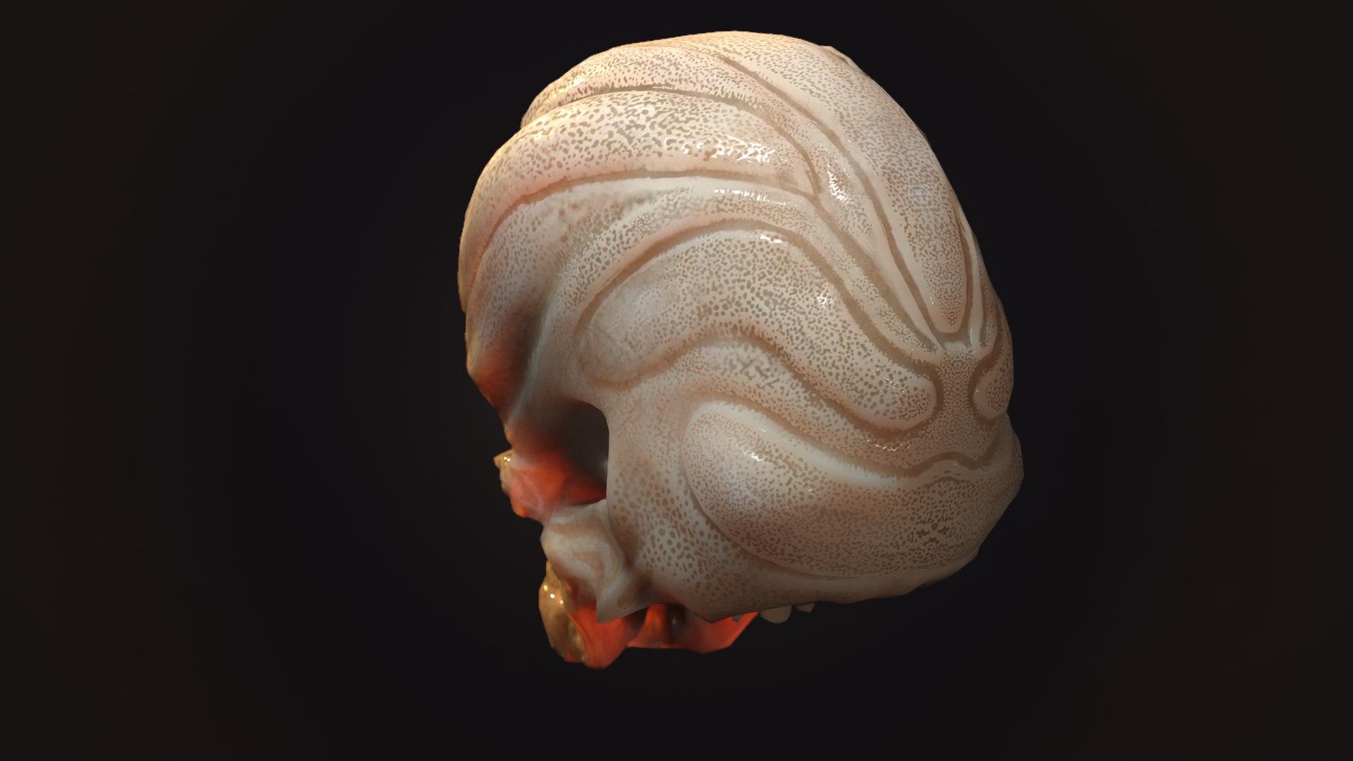 3D Alien Skull - TurboSquid 1836307