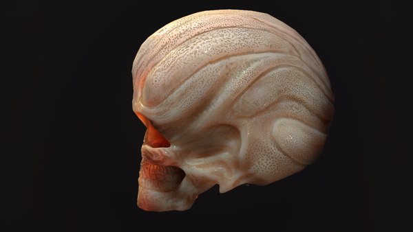 3D Alien Skull - TurboSquid 1836307