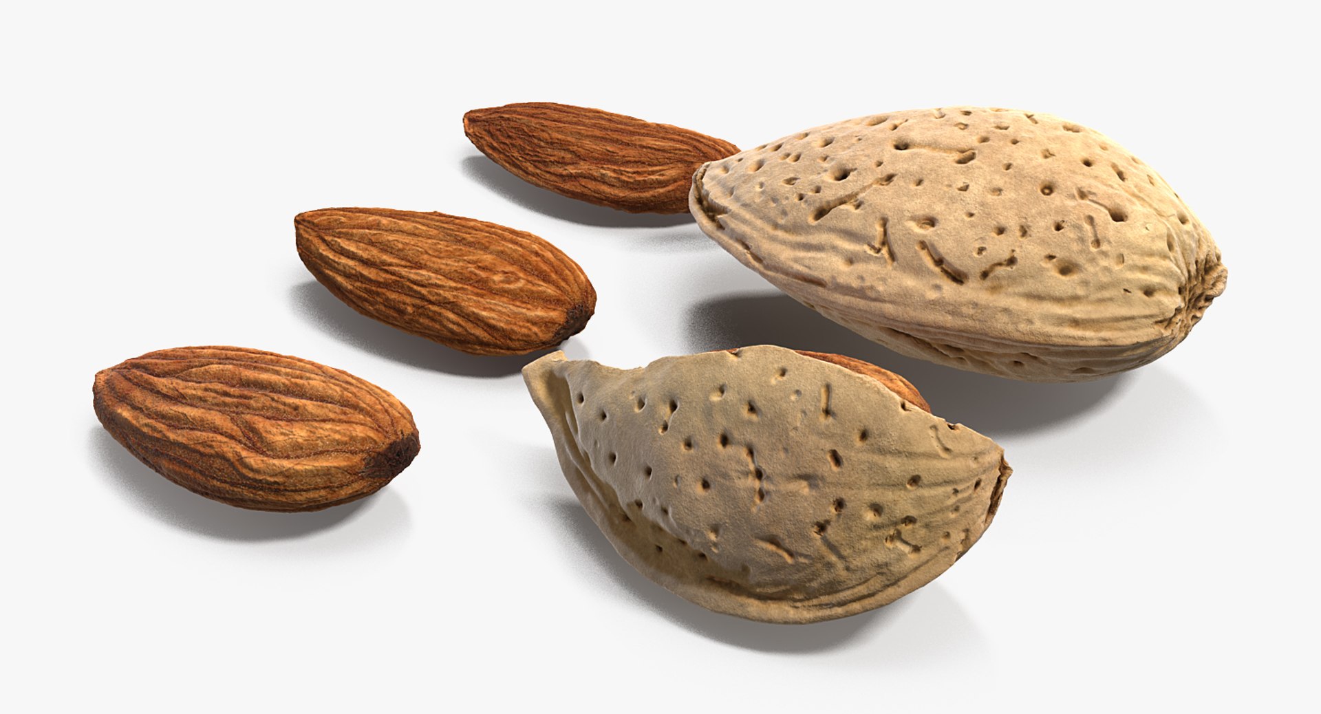 Almonds Nuts Seed 3D Model - TurboSquid 1426265