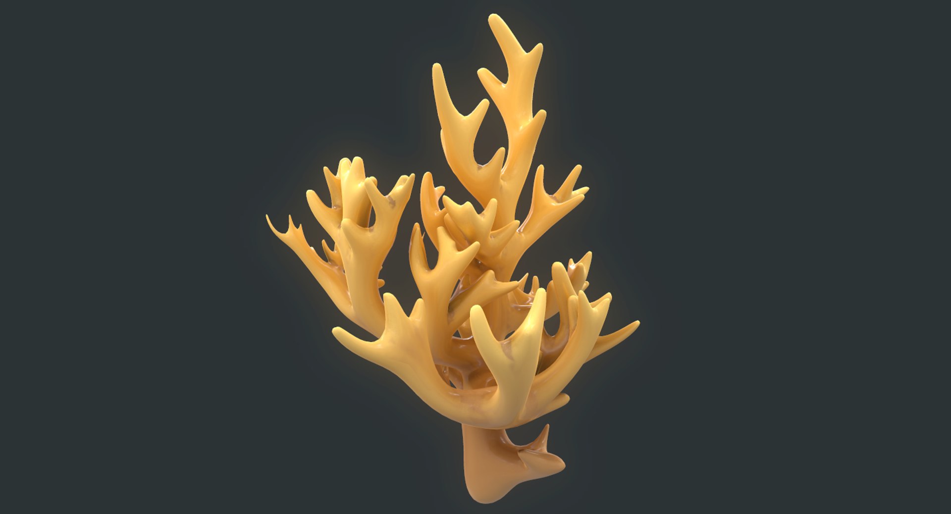 Modeled Coral Model - TurboSquid 1425221