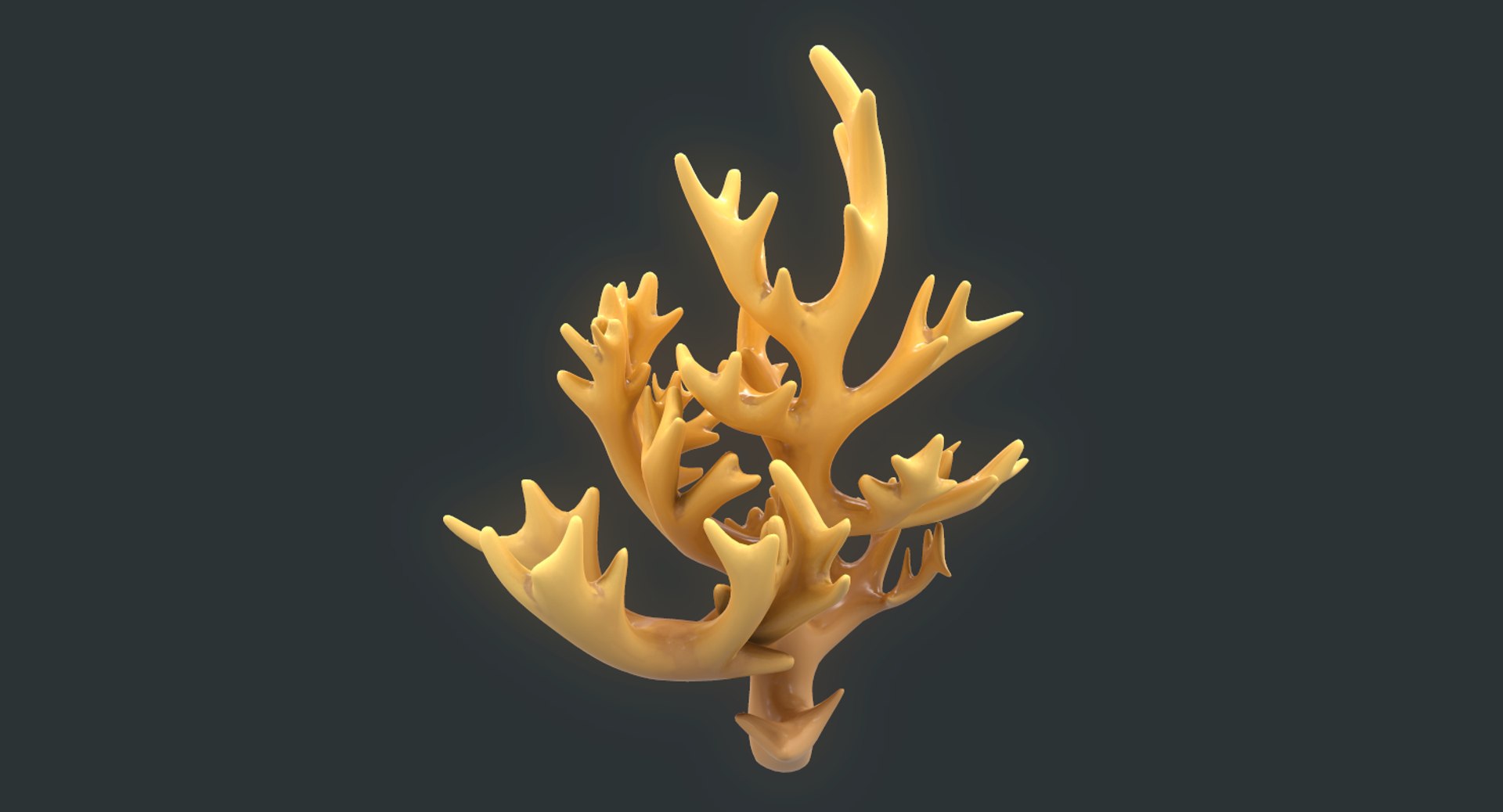 Modeled Coral Model - TurboSquid 1425221