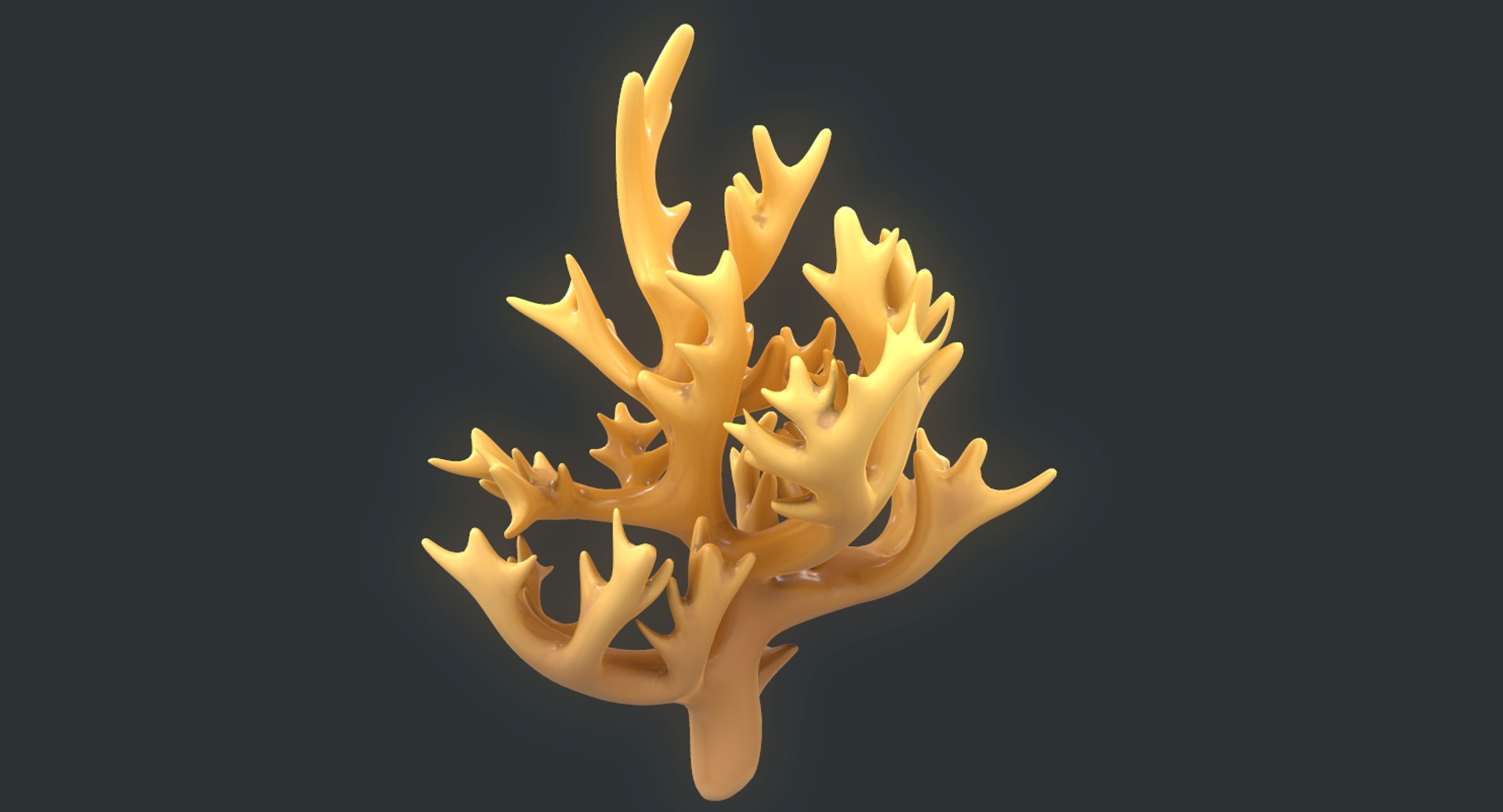 Modeled Coral Model - TurboSquid 1425221