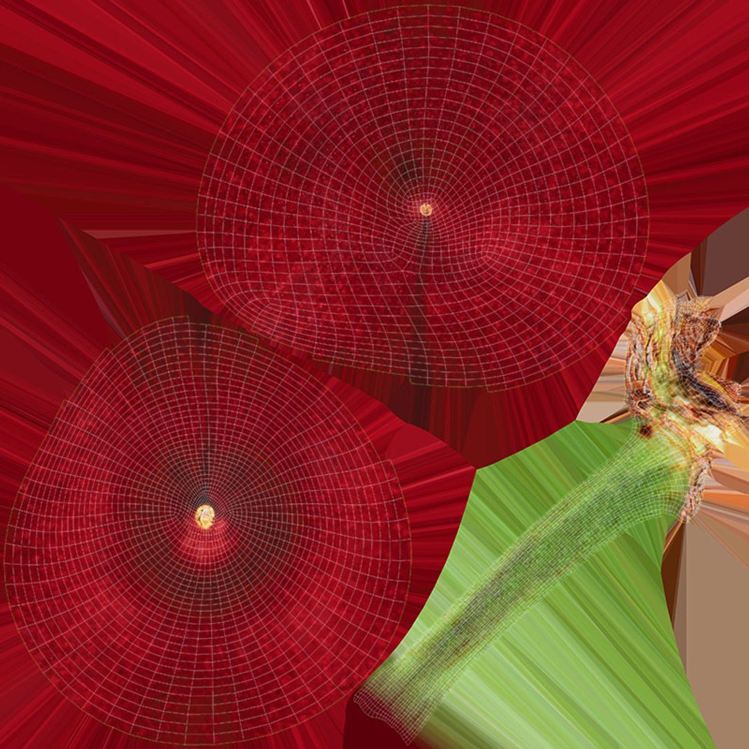 3D Cherry Collection - TurboSquid 2236378