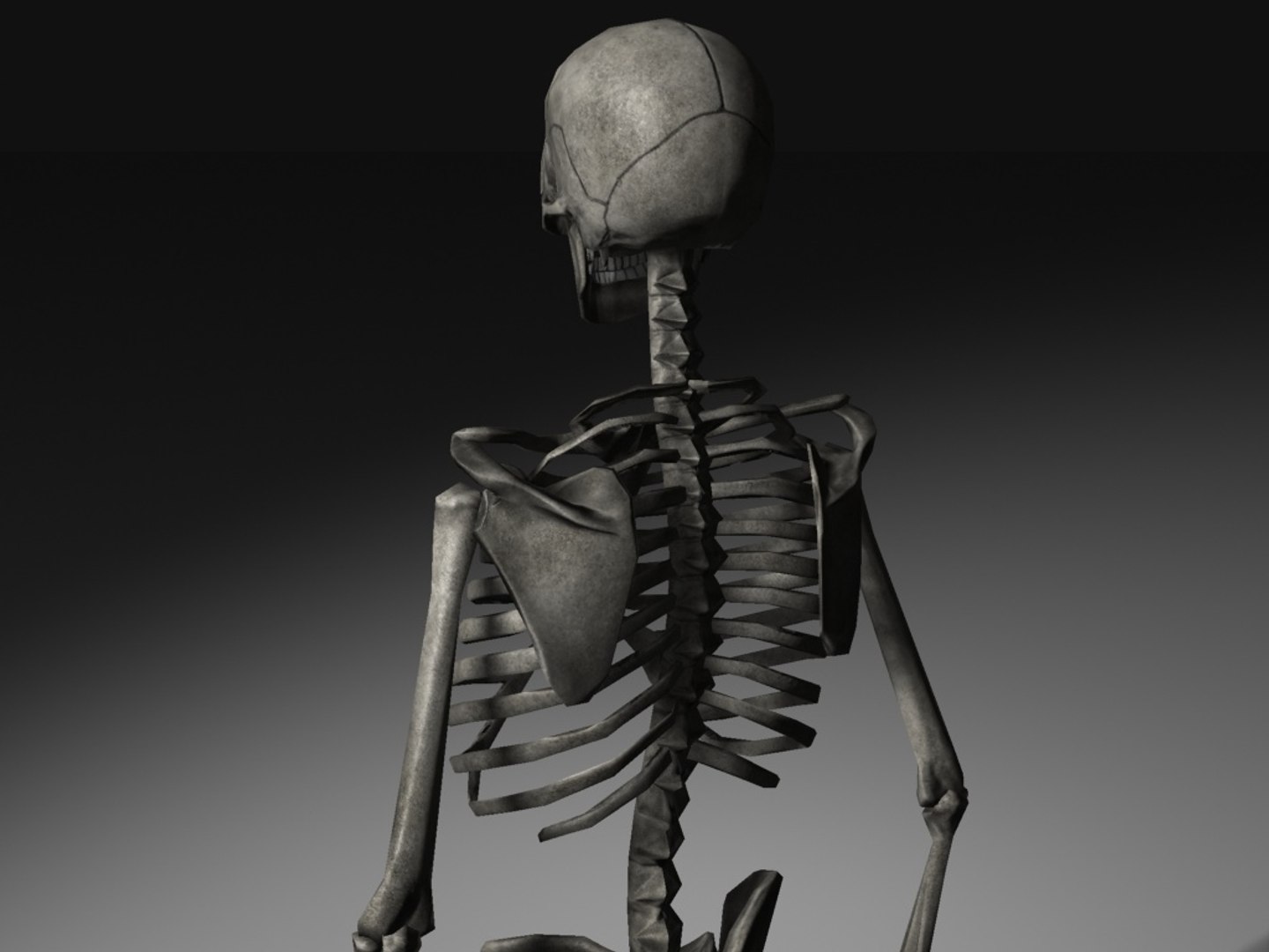 3ds Human Skeleton