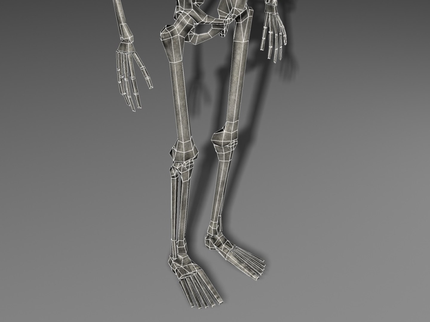 3ds Human Skeleton