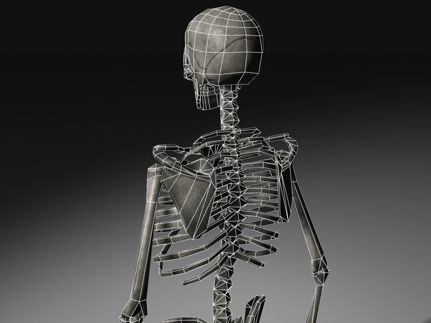 3ds Human Skeleton