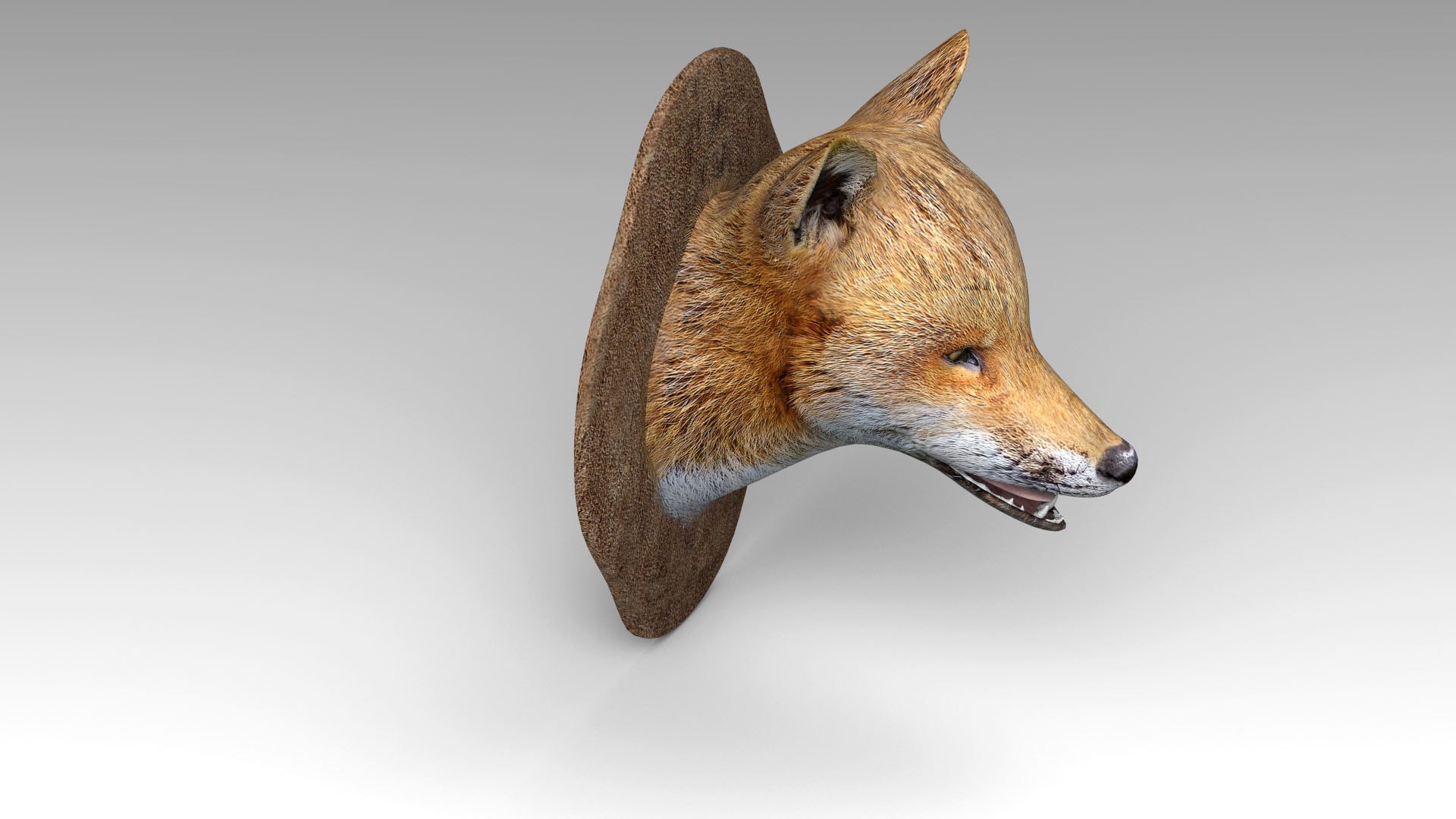 3D Head Fox Model - TurboSquid 1849865