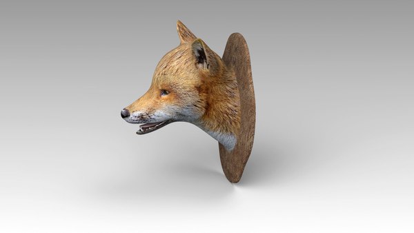 3D Head Fox model - TurboSquid 1849865