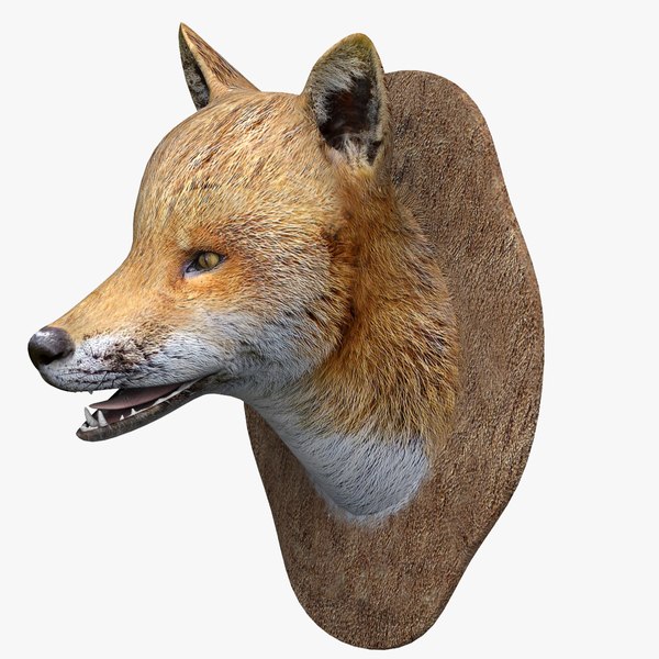 3D Head Fox model - TurboSquid 1849865