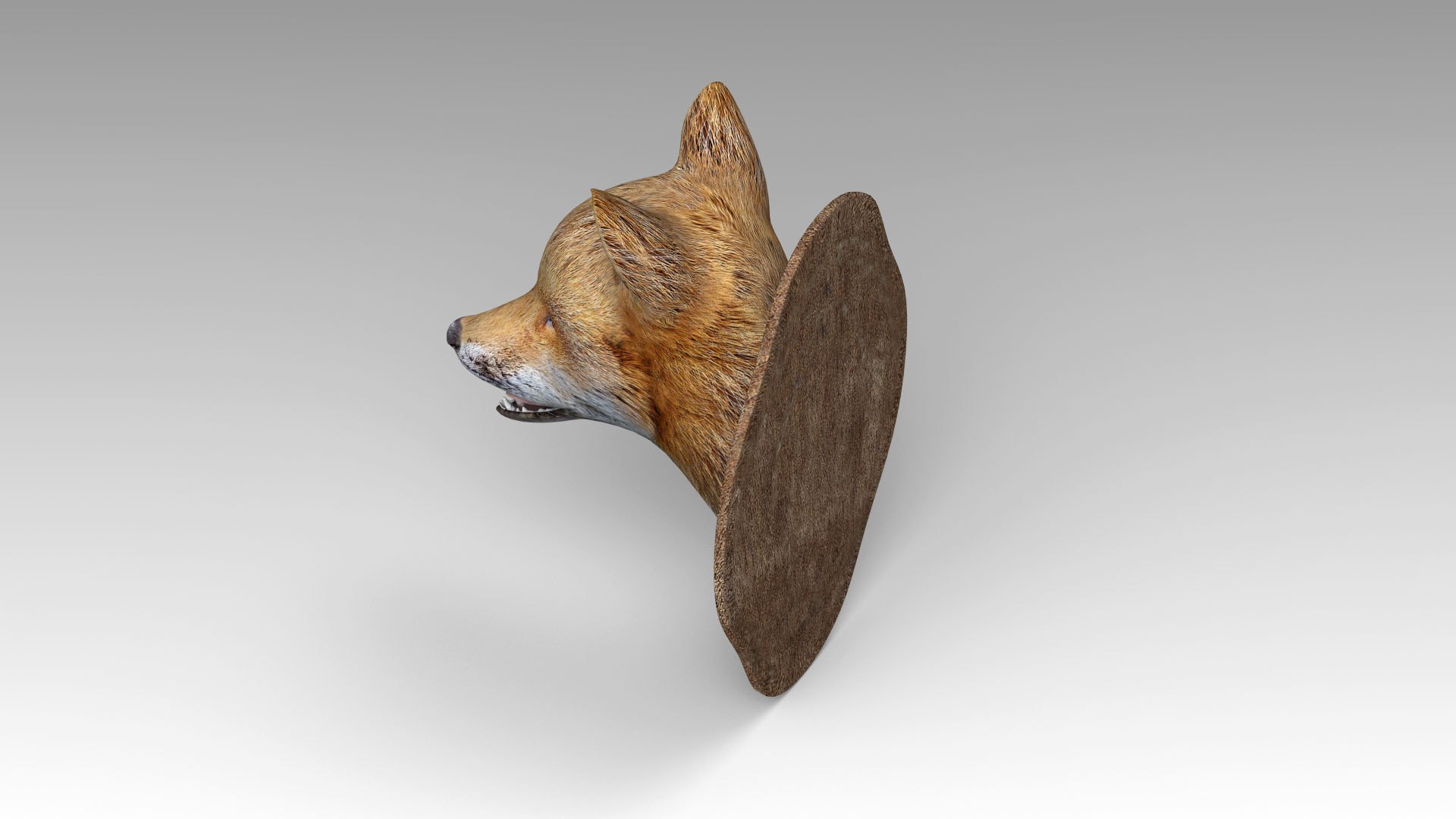 3D Head Fox Model - TurboSquid 1849865
