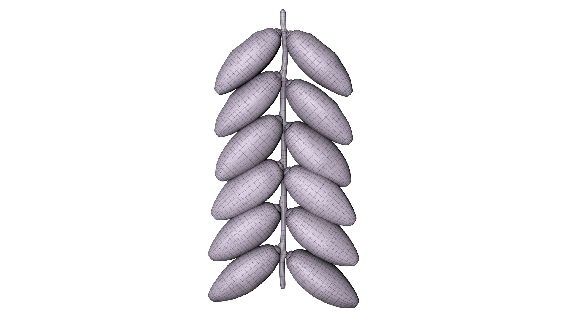 Dates 3D Model - TurboSquid 1820296